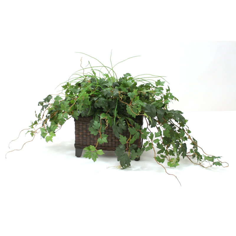 Distinctive Designs Silk Grass and Grape Ivy in Planter | Wayfair