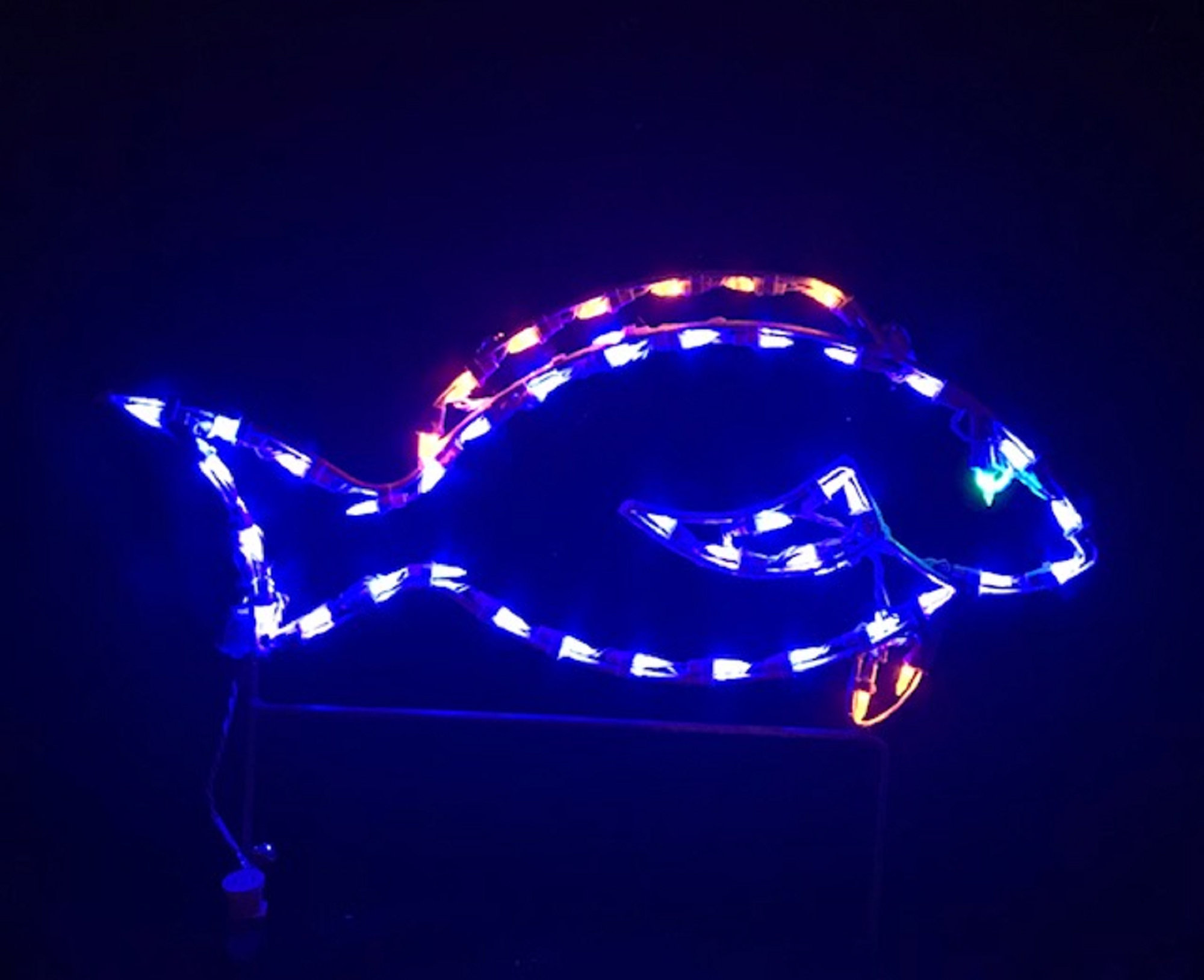 Lori's Lighted D'Lites Tropical Fish Nautical Lighted Display - Wayfair ...