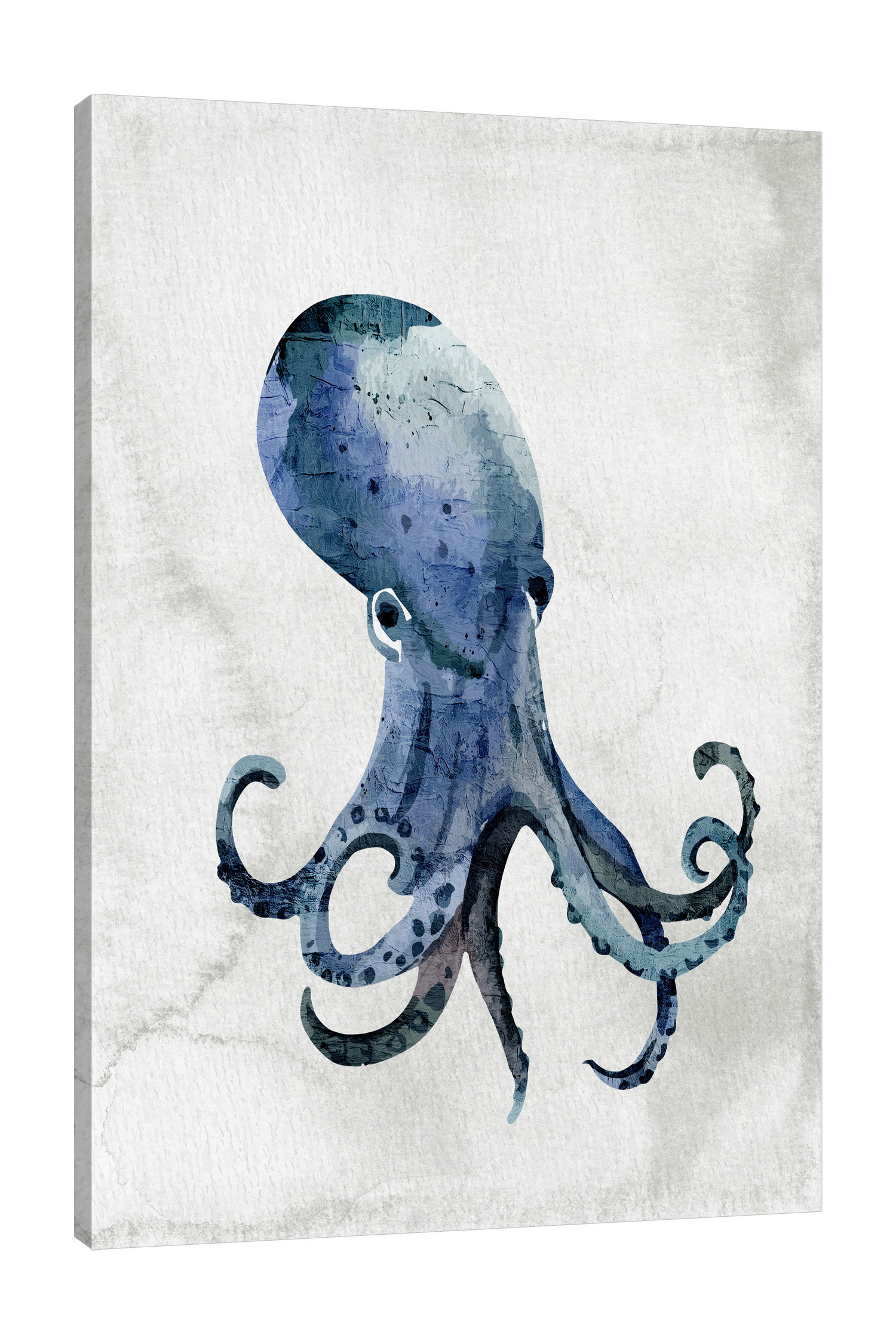 Jaxson Rea "Sea Life 3" Gallery Wrapped Canvas By Kimberly Allen 17981 ...