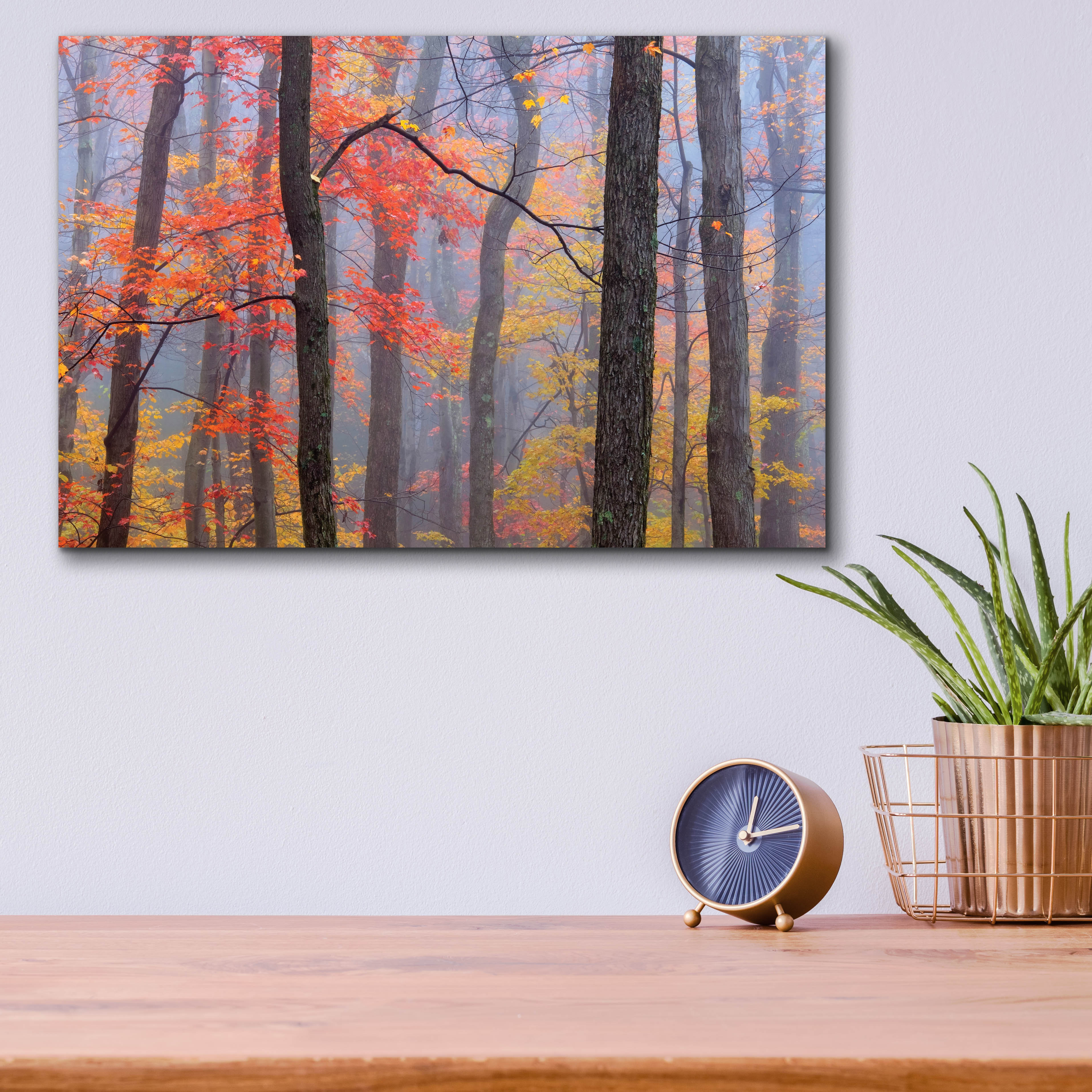 Millwood Pines 'Fire In The Fog' by Patrick Zephyr Acrylic Glass Wall ...