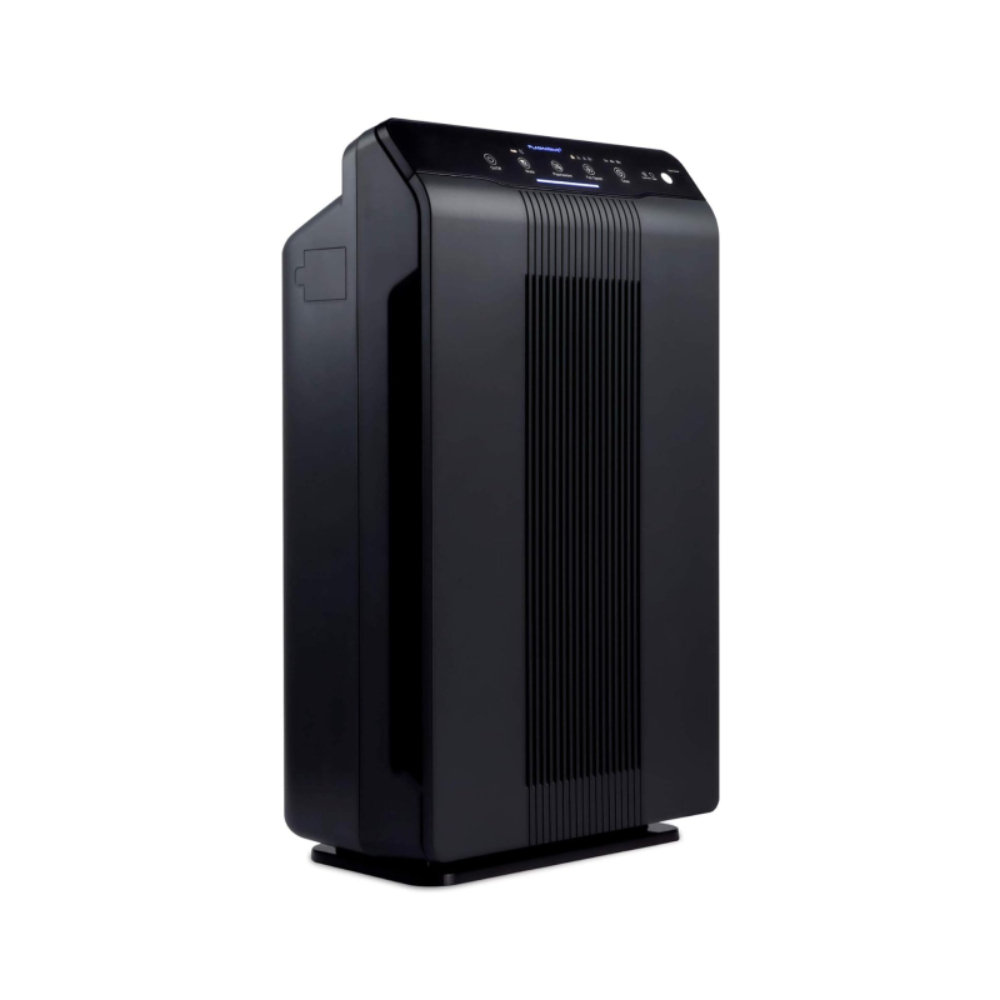 Flair East Birch ODOR-REDUCING AIR PURIFIER WITH CARBON FILTER | Wayfair