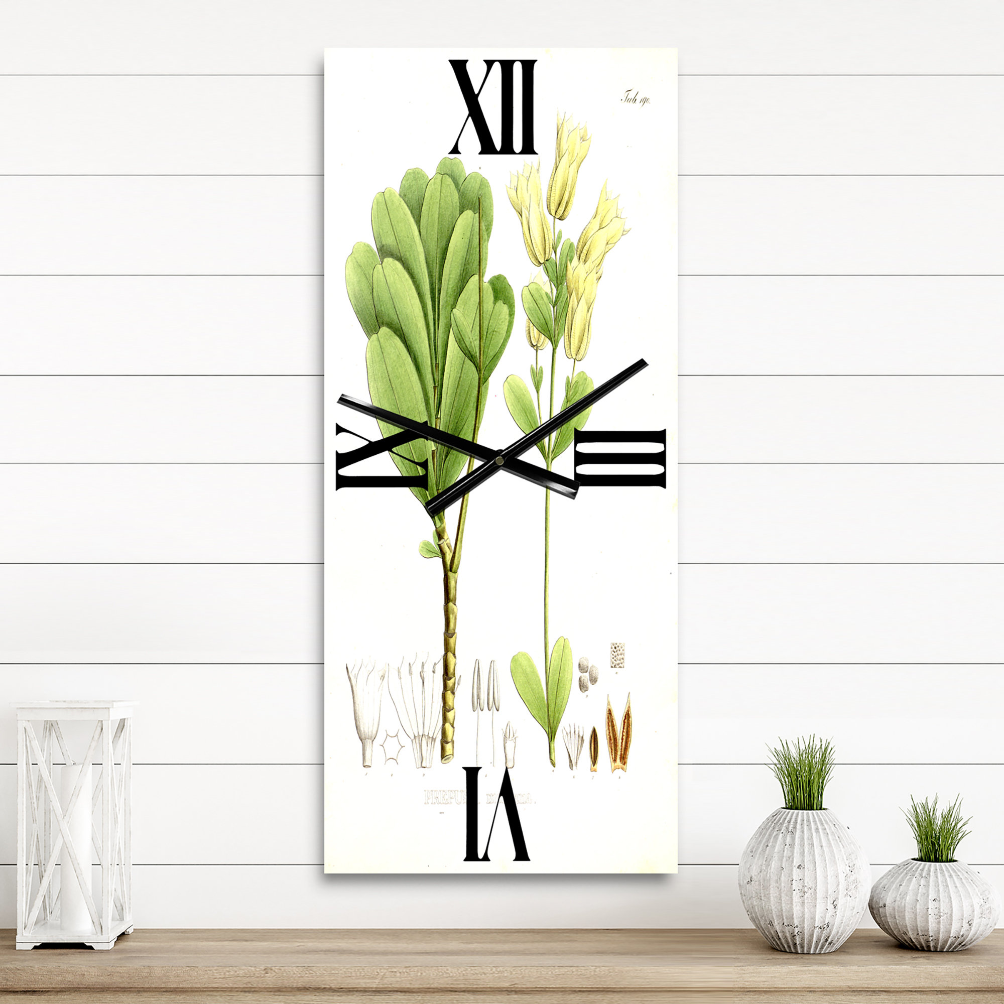 East Urban Home Vintage Brazilian Plant III - Traditional Wall Clock ...