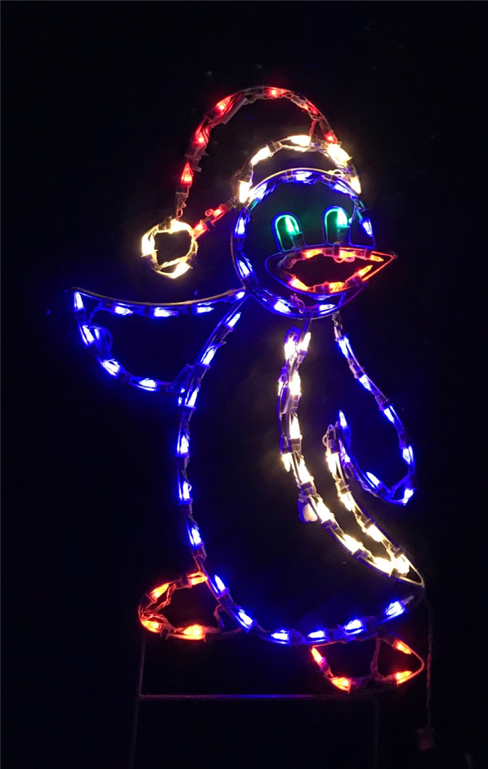 Lori's Lighted D'Lites Animated Dancing Penguin Christmas Holiday ...