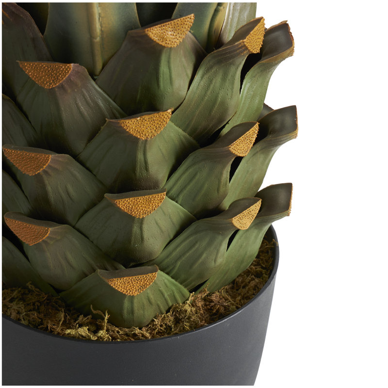 Primrue Faux Foliage Agave Indoor Outdoor Green Artificial Tree with ...