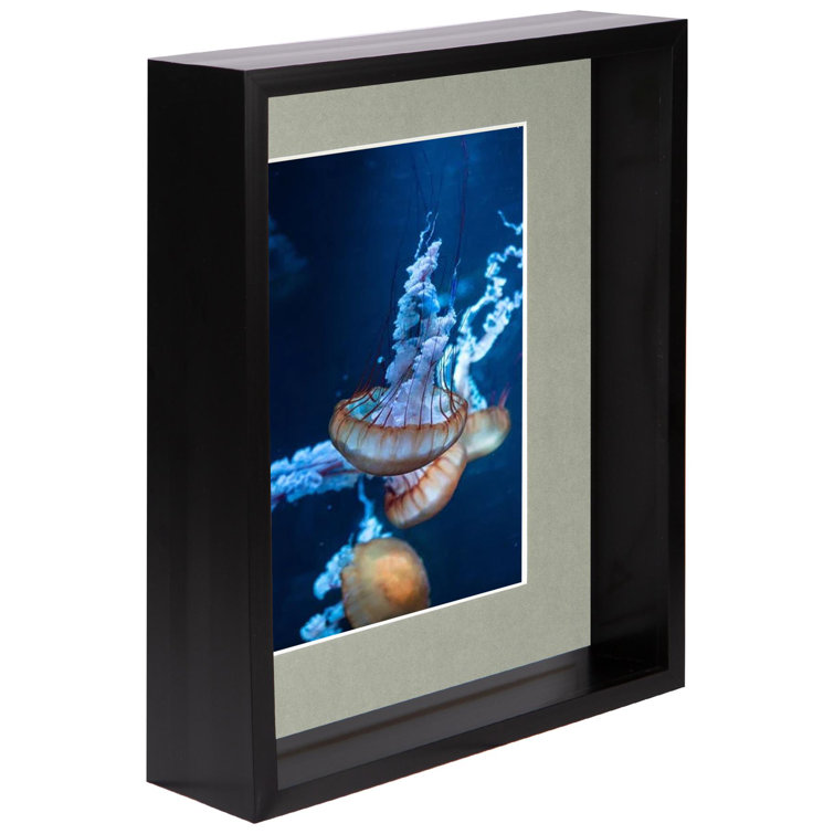Nicola Spring Shadow Box Picture Frame | Wayfair.co.uk