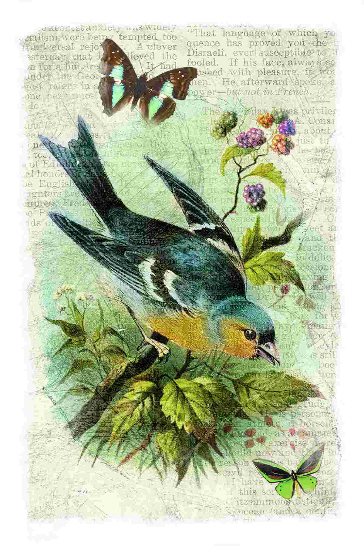 Winston Porter Vintage Bird Life - Wayfair Canada