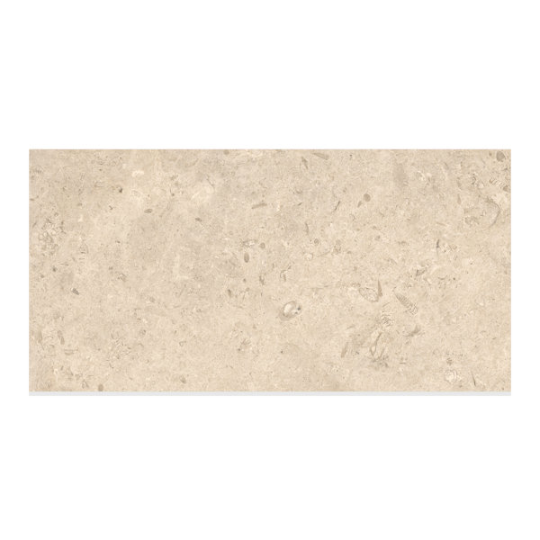 Geo Coverings Fossil Stone Matte 12x24 Porcelain Floor & Wall Tile (15. ...