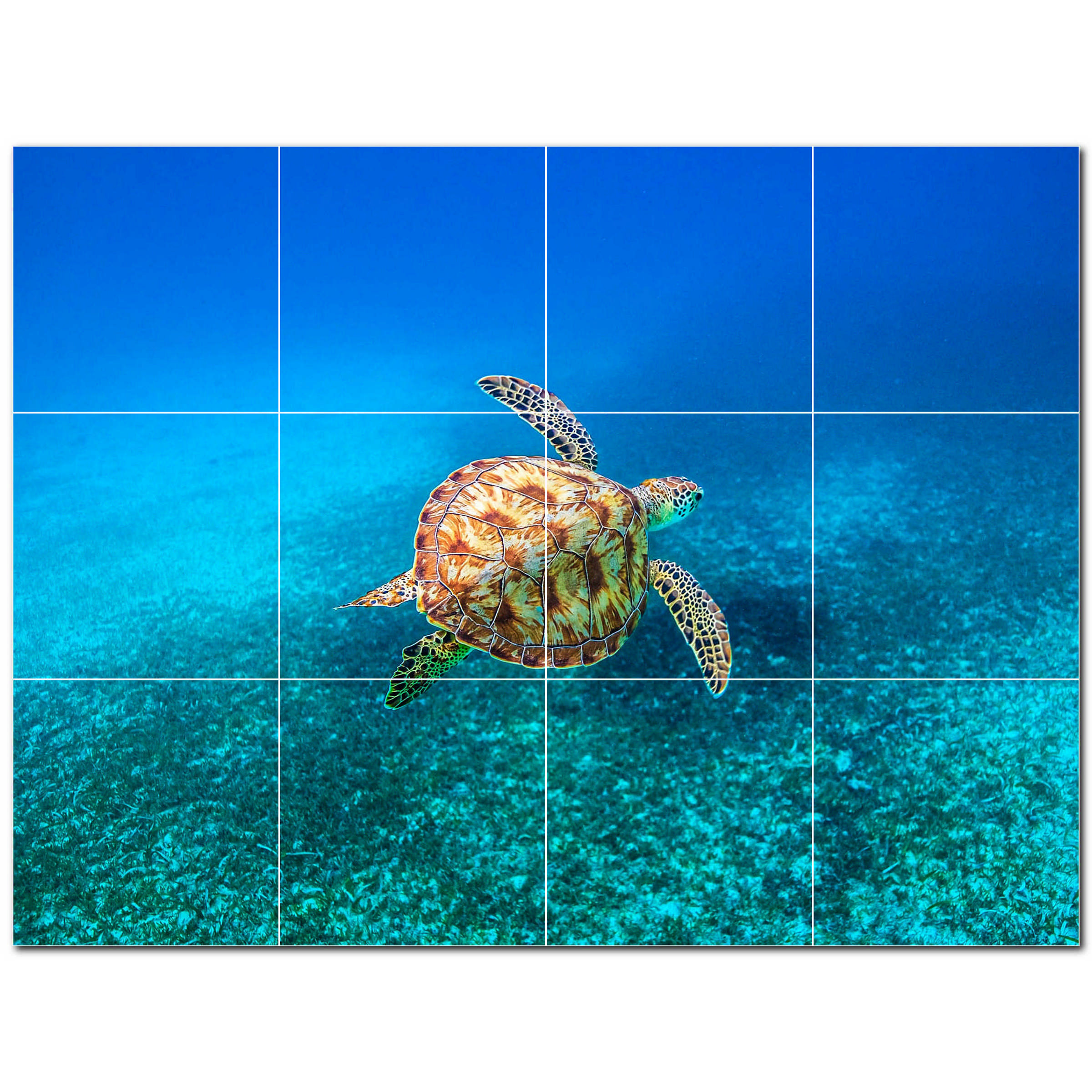 Picture-Tiles.com 32" x 24" Ceramic Turtle Photo Decorative Mural Tile ...