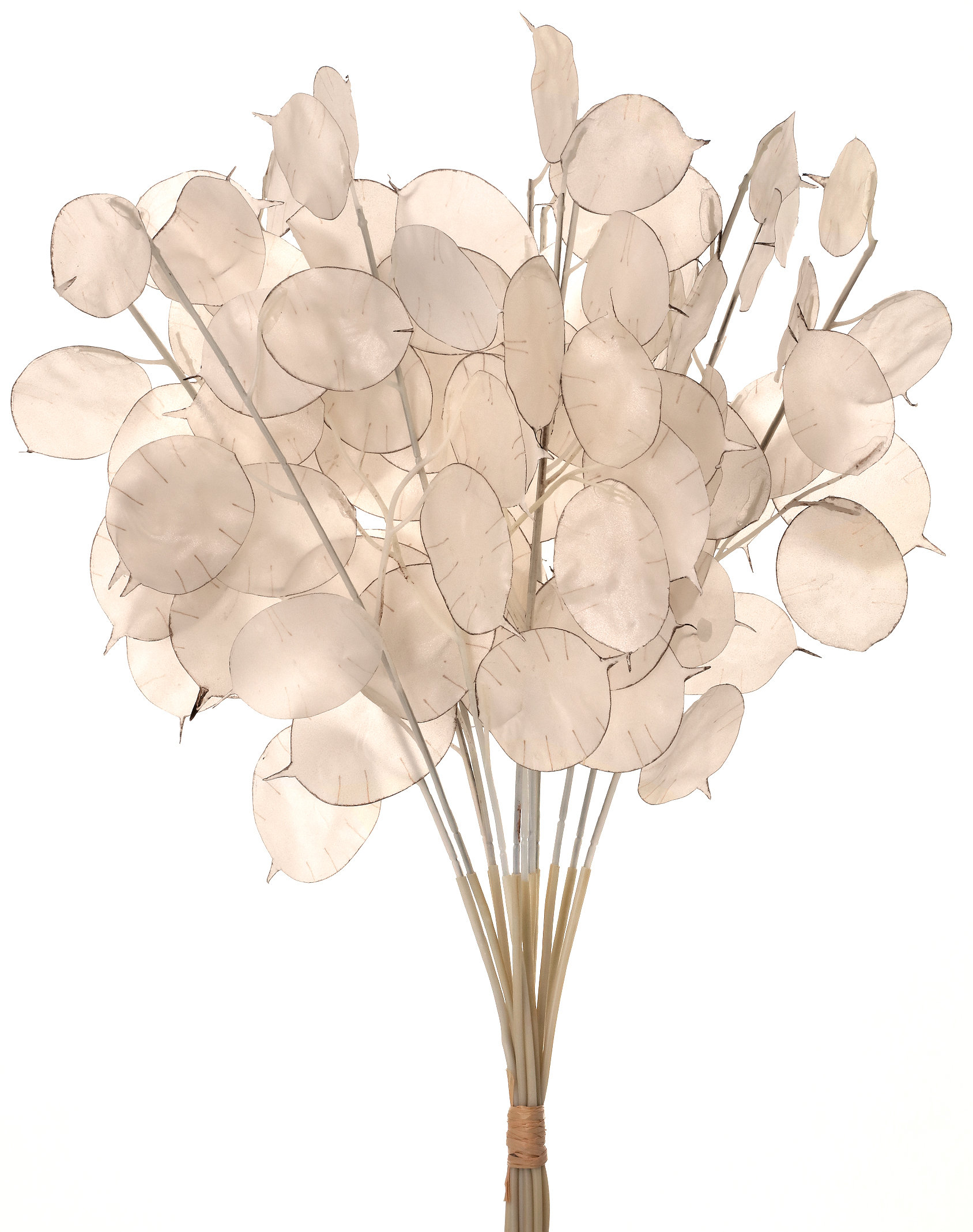 Union Rustic Coin Pod Stems Arrangement & Reviews | Wayfair