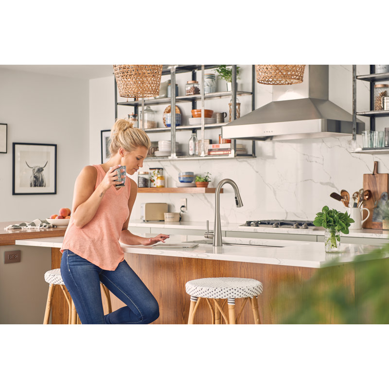 Moen Sleek Kitchen Faucet 7864Srs at Robert Lindsay blog