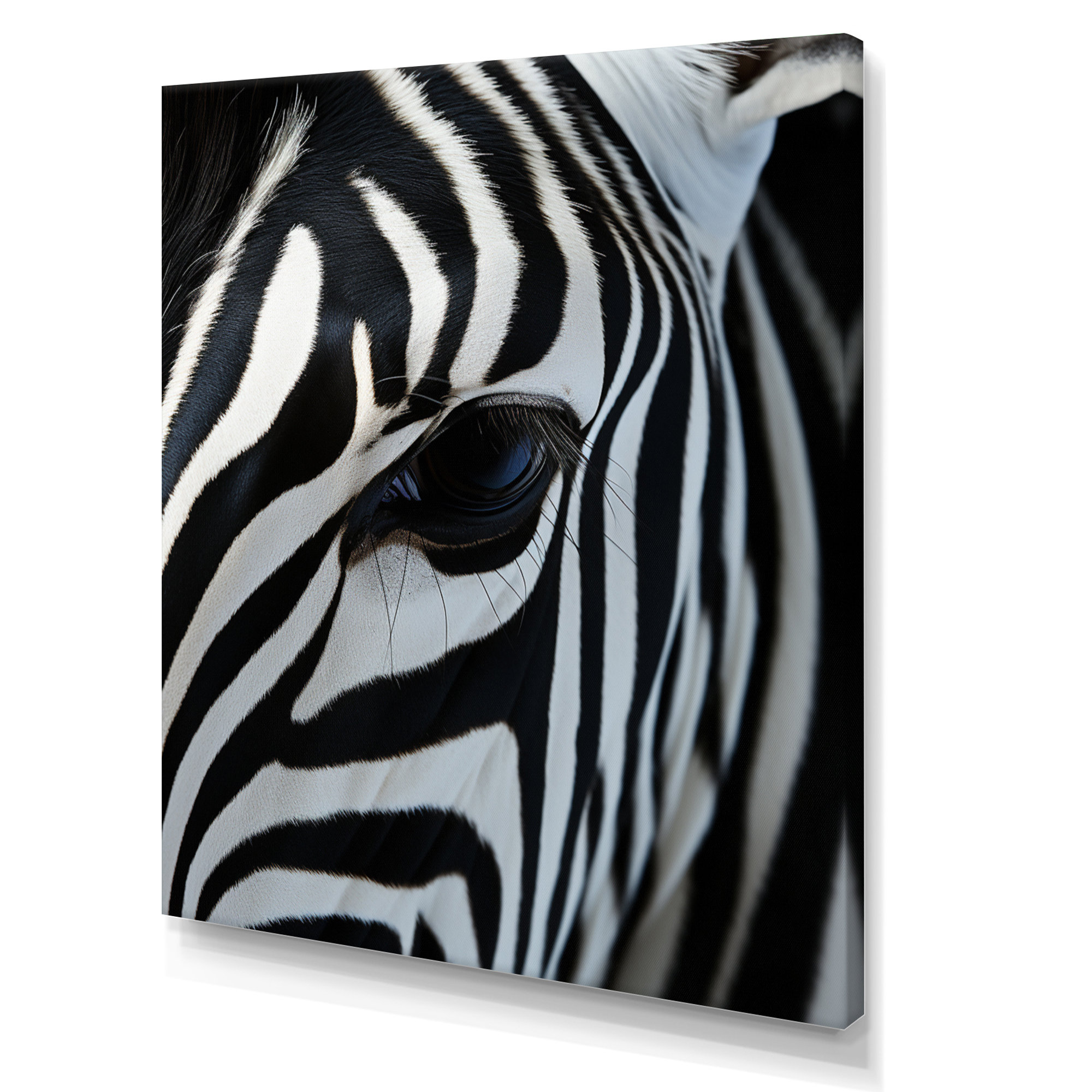 Design Art Black And White Zebra Portrait II On Canvas Print - Wayfair ...