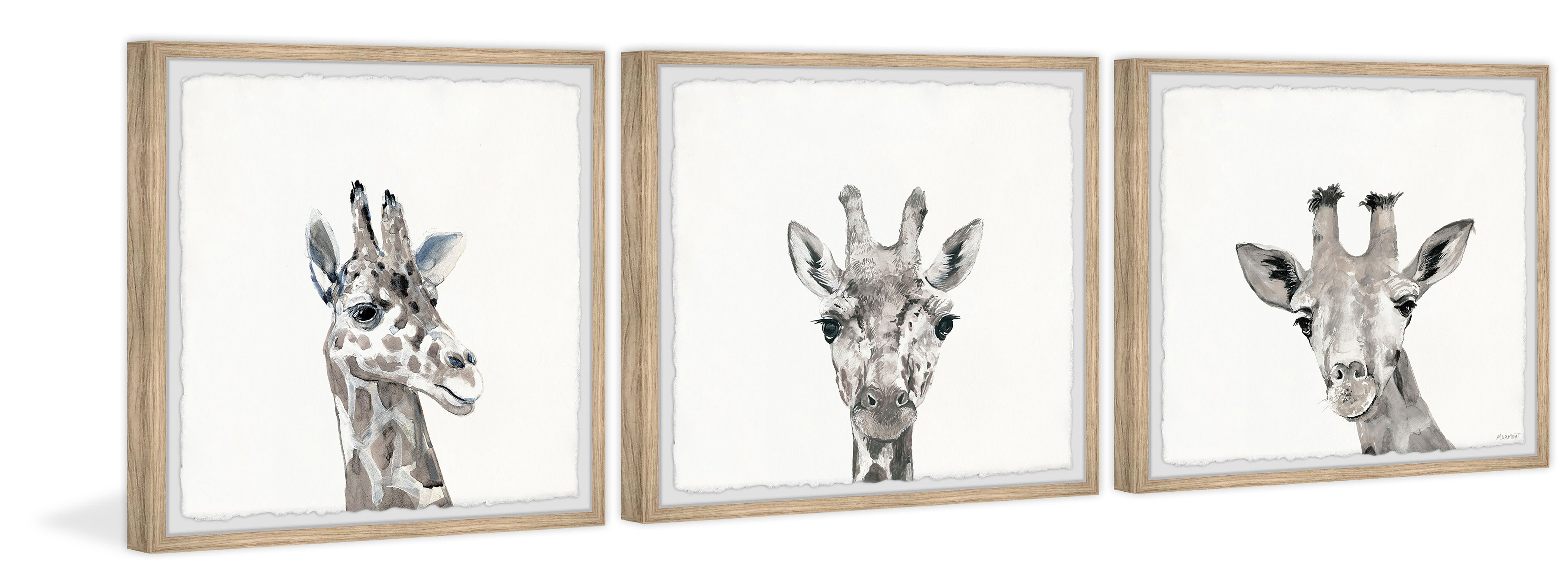 Harriet Bee Mary-Jo Mugshot 3- Piece Set Framed Print | Wayfair