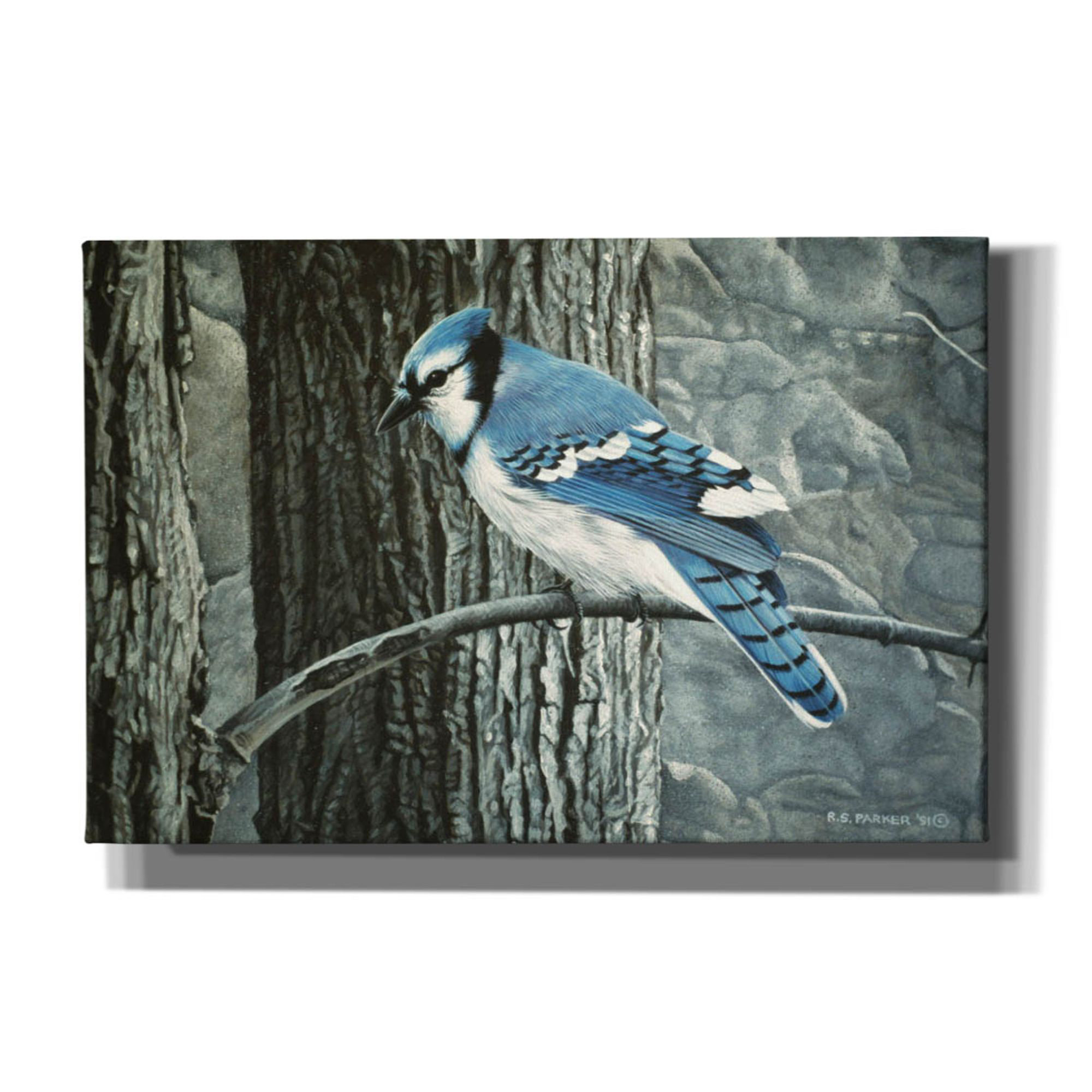 The Holiday Aisle® 'Backyard Jay' By Ron Parker, Acrylic Glass Wall Art ...