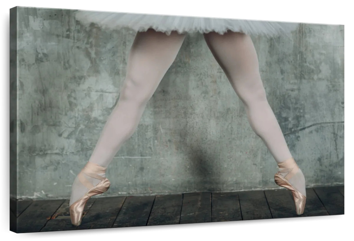 Ebern Designs Toned Legs Of A Ballerina - Wayfair Canada
