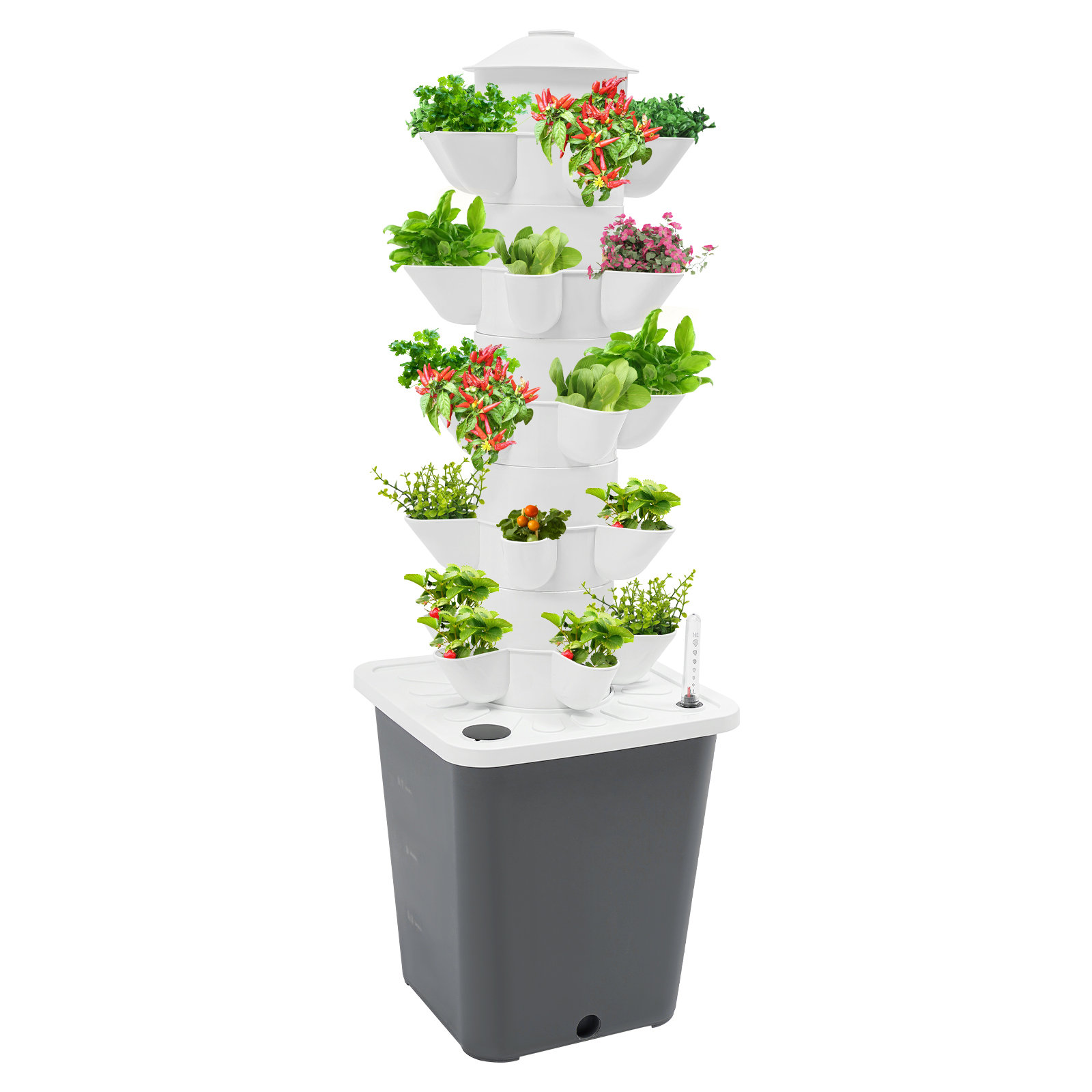Arlmont & Co. 25-Pod Hydroponic Mechanism Hydroponic Growing Kit | Wayfair