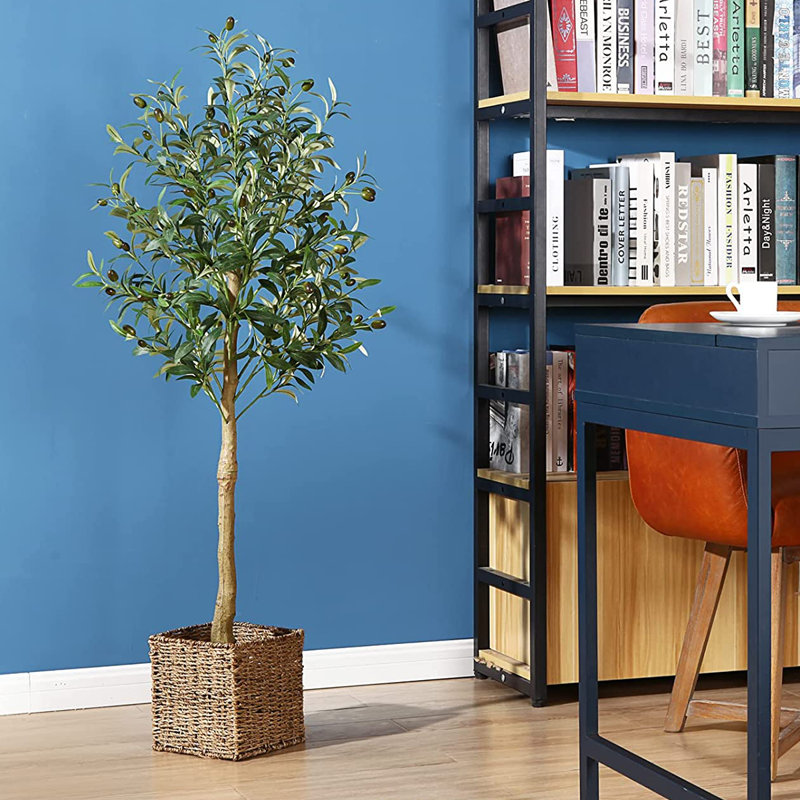Primrue Morales 47'' Olive Tree Tree | Wayfair