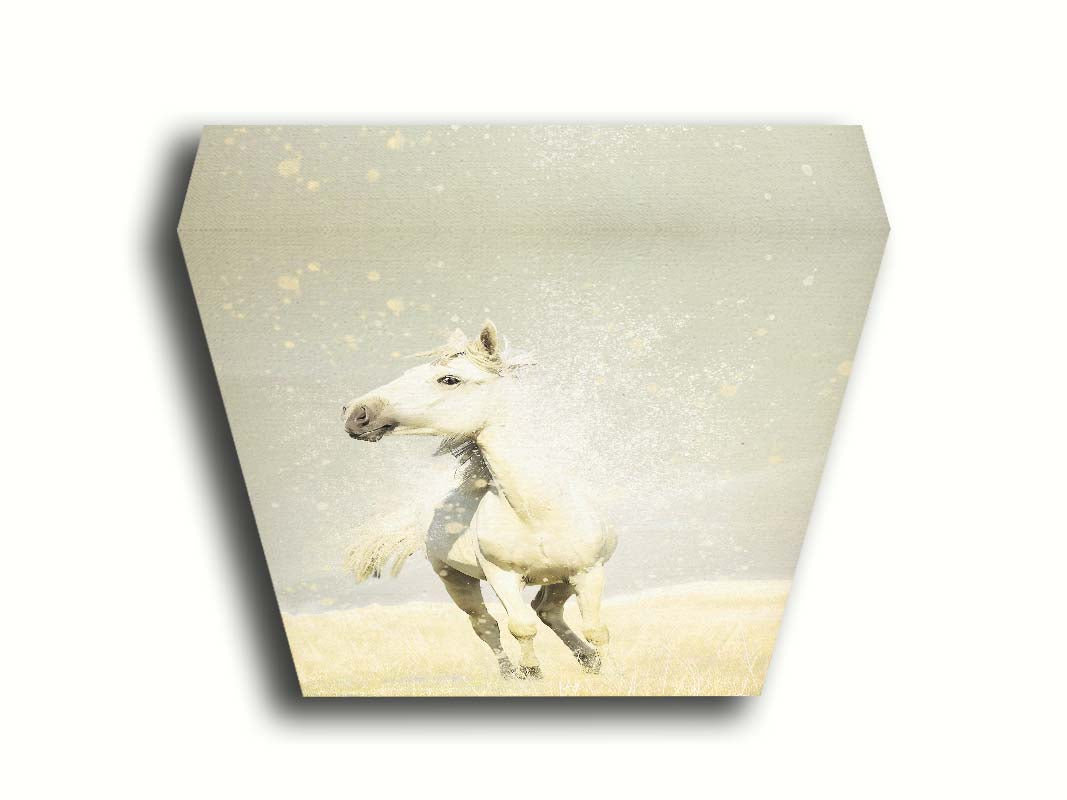 Foundry Select Wild White Horse by Hal Halli. Giclee Gallery | Wayfair