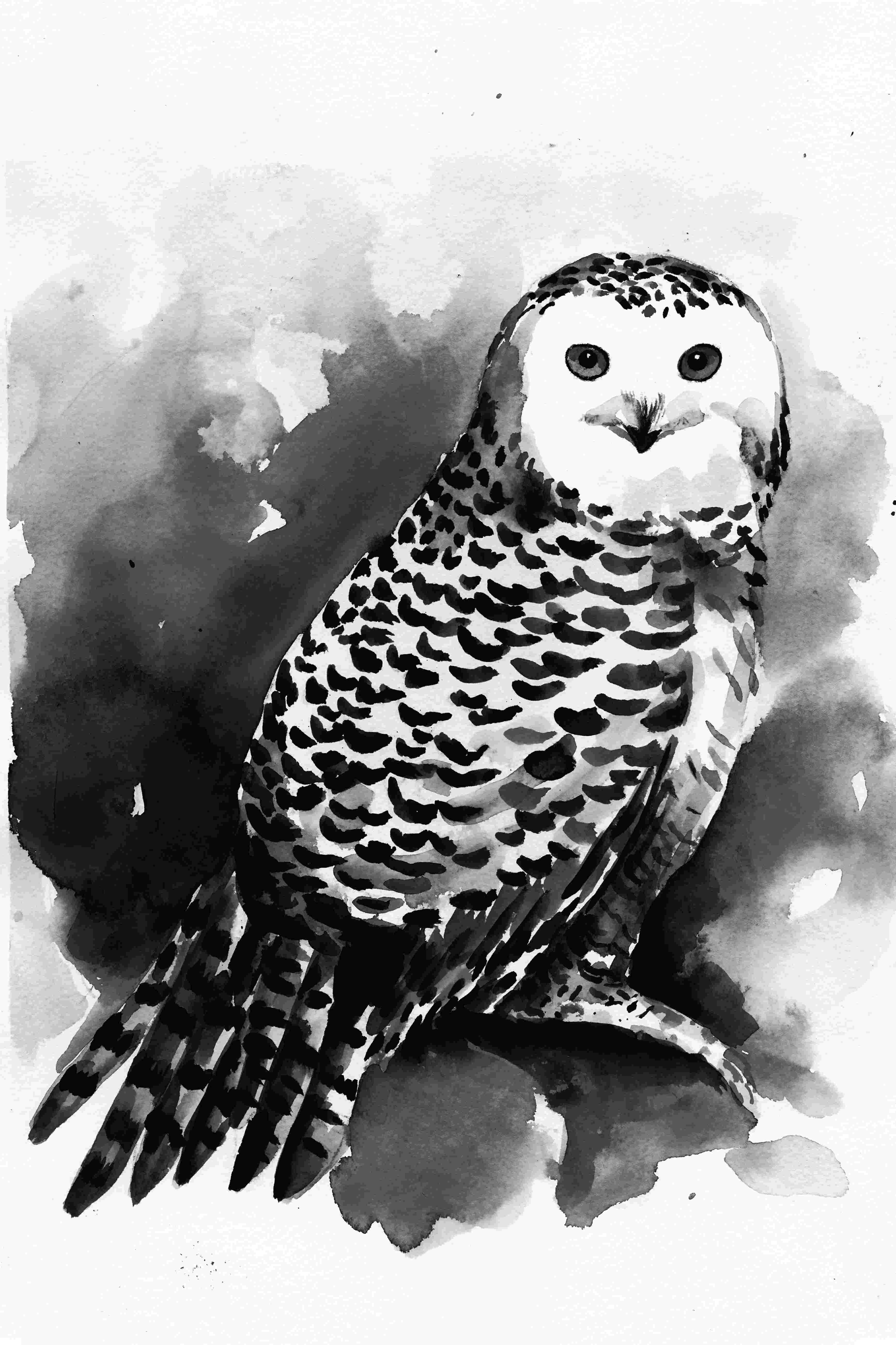 Millwood Pines Black Ink Owl | Wayfair