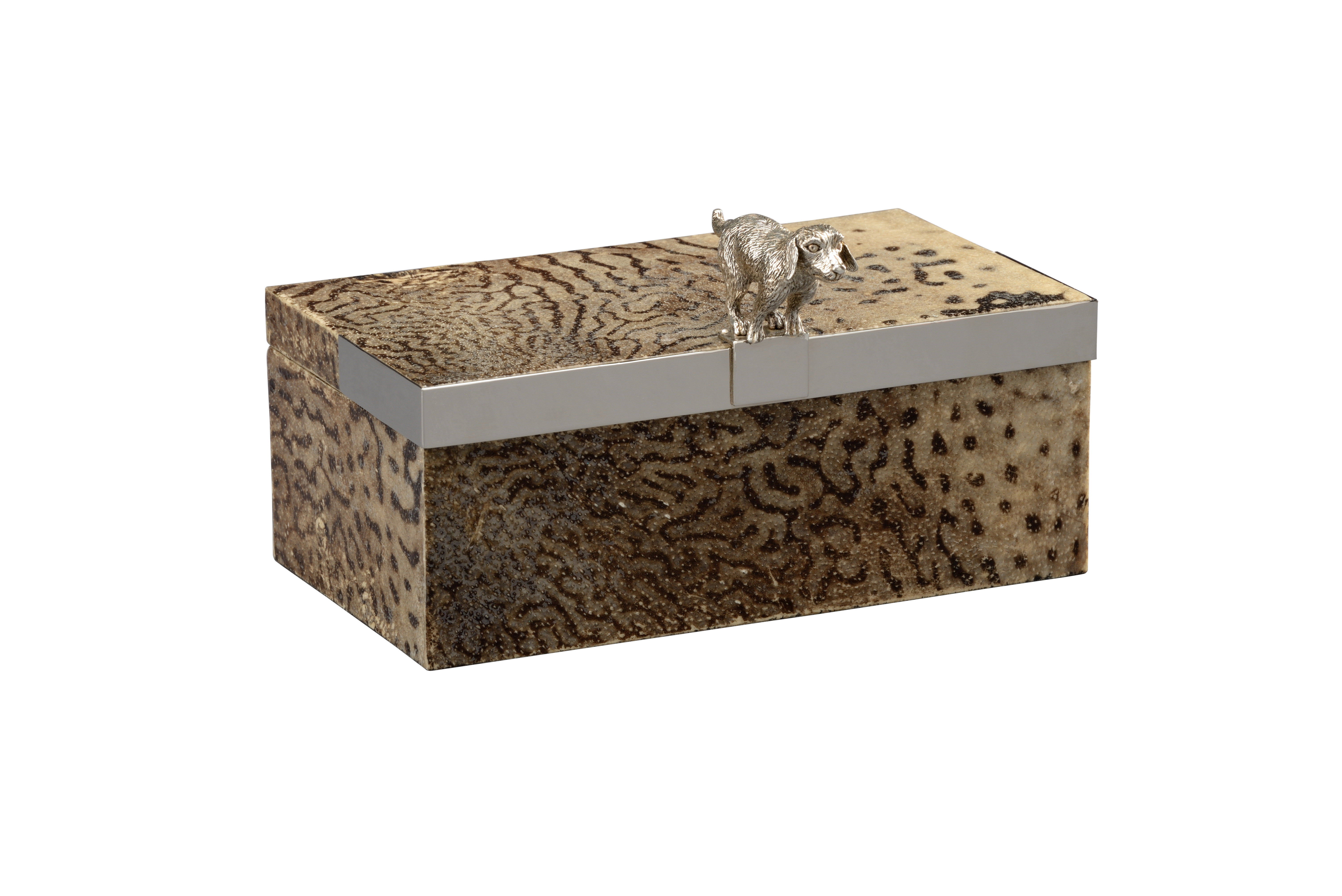 Chelsea House Duke Decorative Box | Wayfair