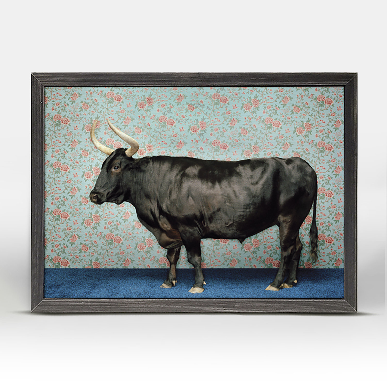 GreenBox Art 'Bull on Blue' by Catherine Ledner Framed Photographic ...