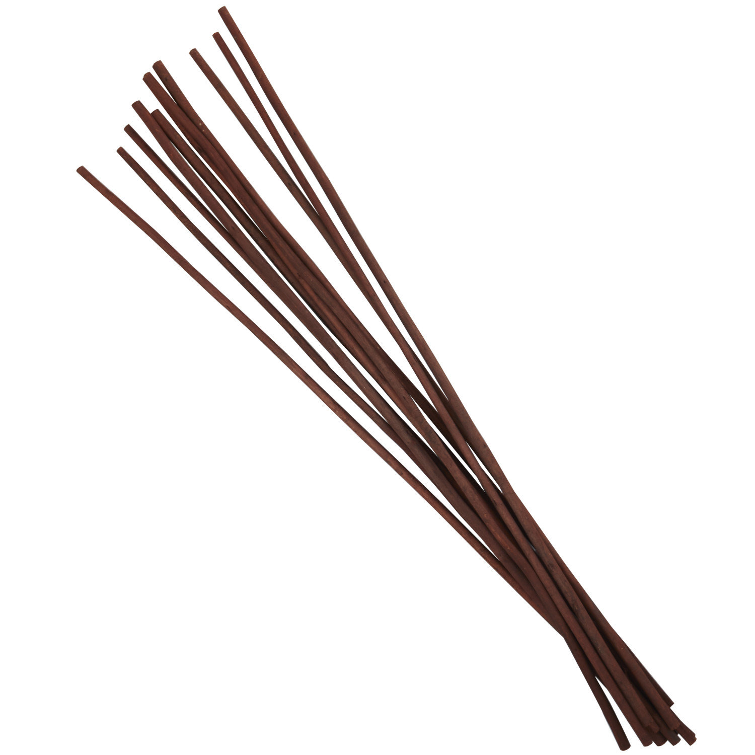 Primrue Jute Rope Tall Sticks Decor Natural Foliage & Reviews | Wayfair