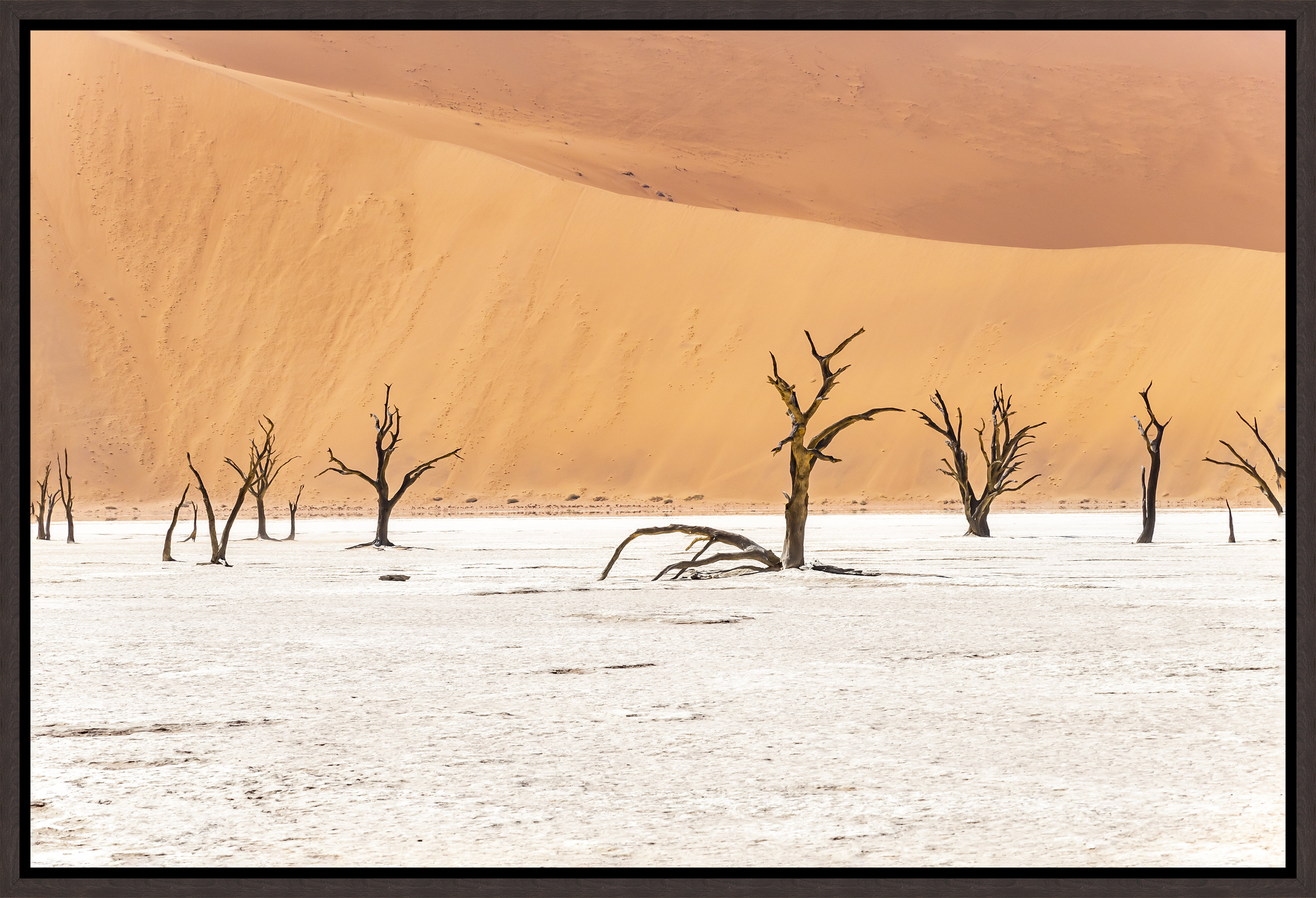 Chelsea Art Studio Namibian Skeleton Trees VI by Richard Silver ...