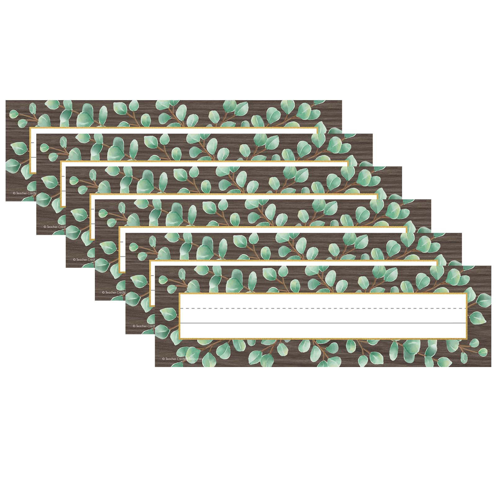 Teacher Created Resources Eucalyptus Flat Name Plates | Wayfair