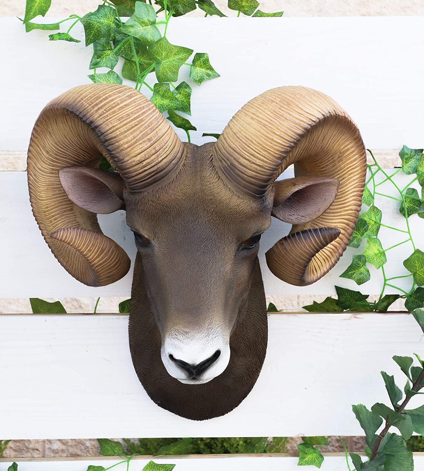Union Rustic Ebros Wildlife Rustic Rocky Mountains Bighorn Sheep Ram ...