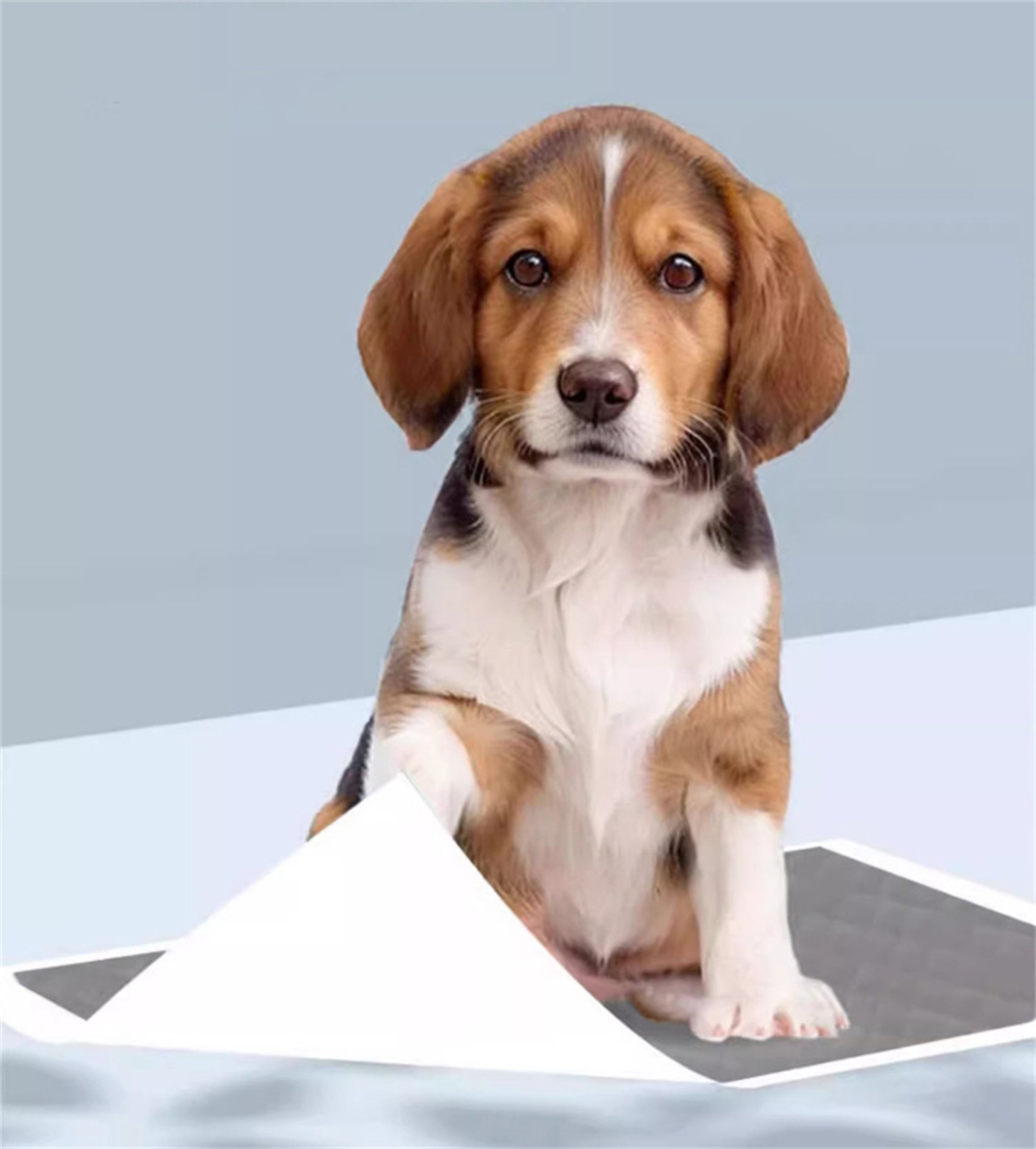 Archie & Oscar™ Orthopedic Polyester Pet Bed | Wayfair