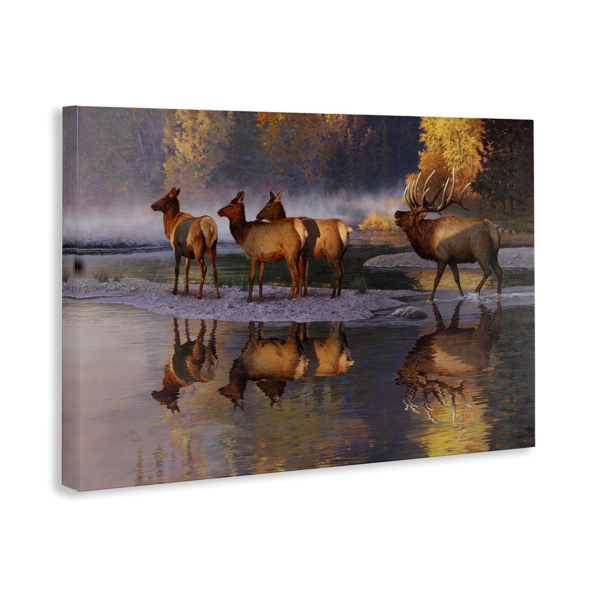 Millwood Pines Distant Challenge Elk Family Canvas Wall Art by Rod ...