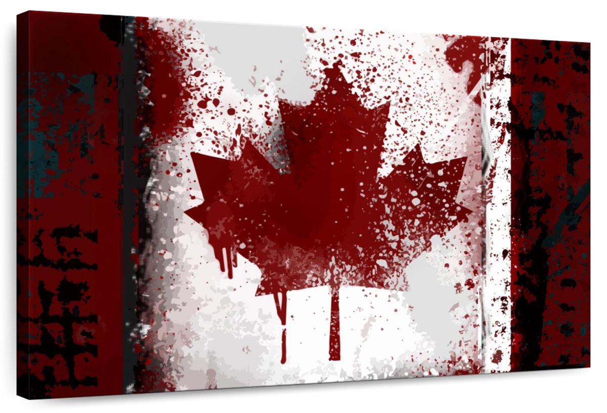 Ebern Designs Borges Rustic Canada Flag | Wayfair