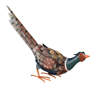 Regal Art & Gift Pheasant Decor Down & Reviews | Wayfair