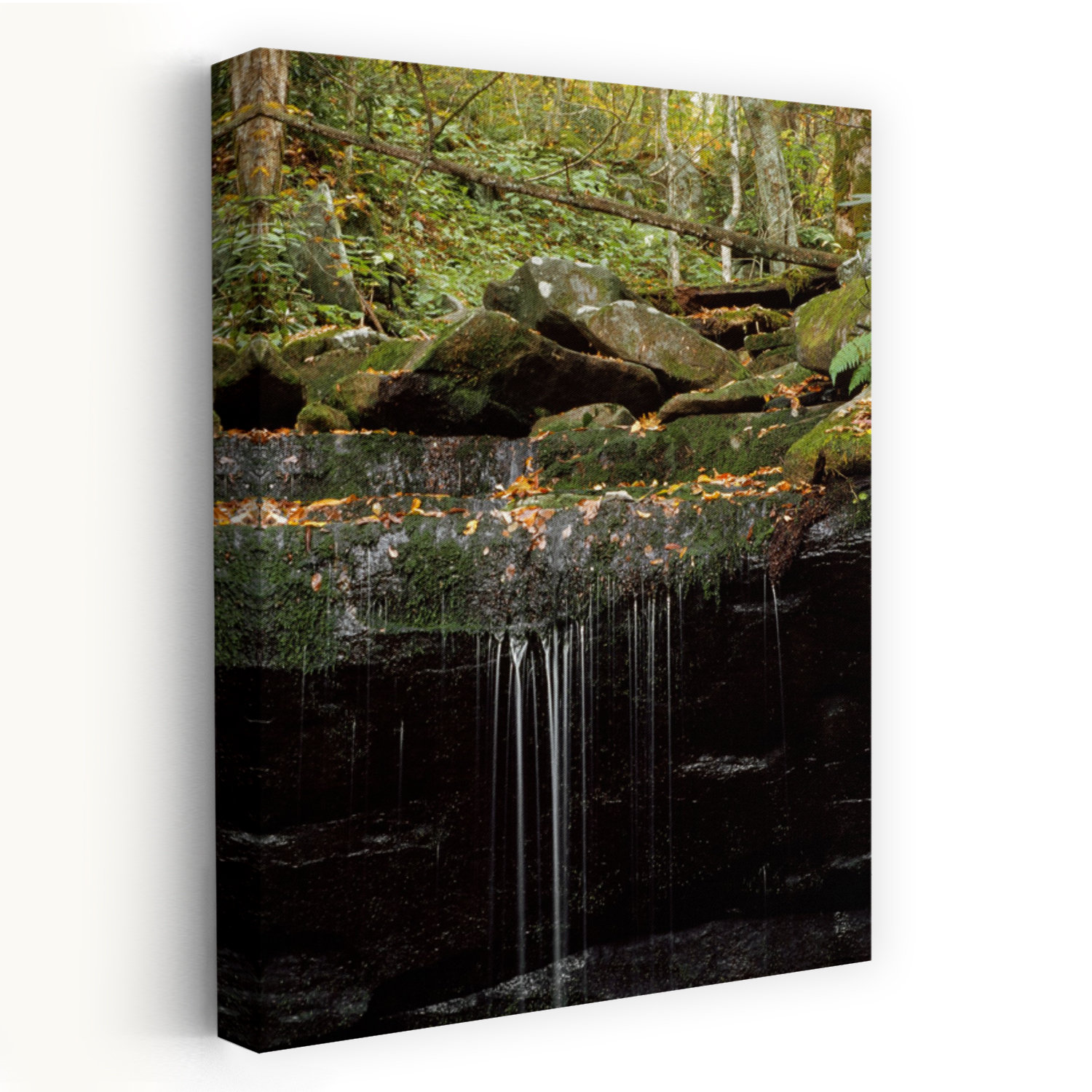 Latitude Run® Waterfall In A Forest Great Smoky Mountains National Park ...