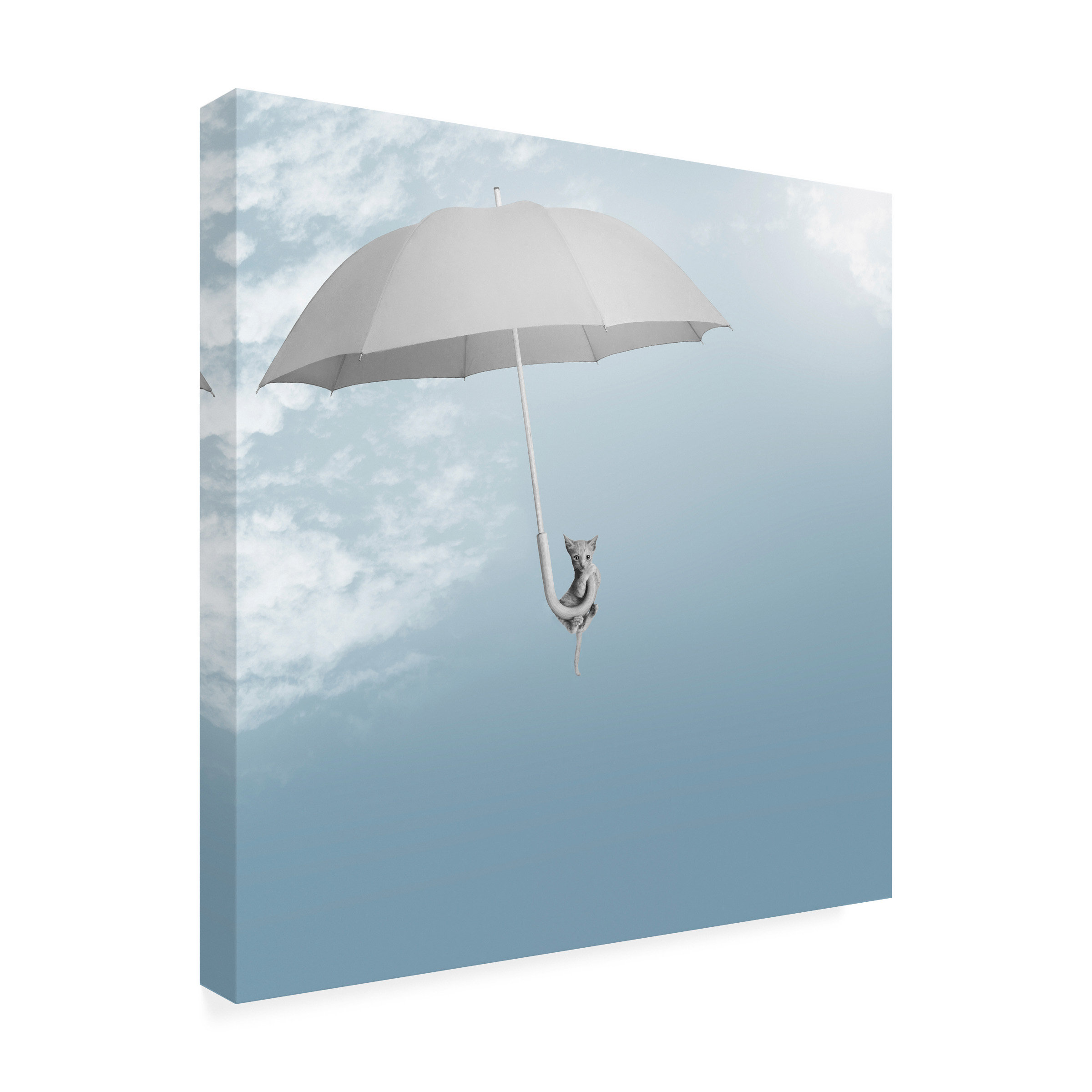 Trinx Ghada Riding The Skies On Canvas by Jon Bertelli Graphic Art ...