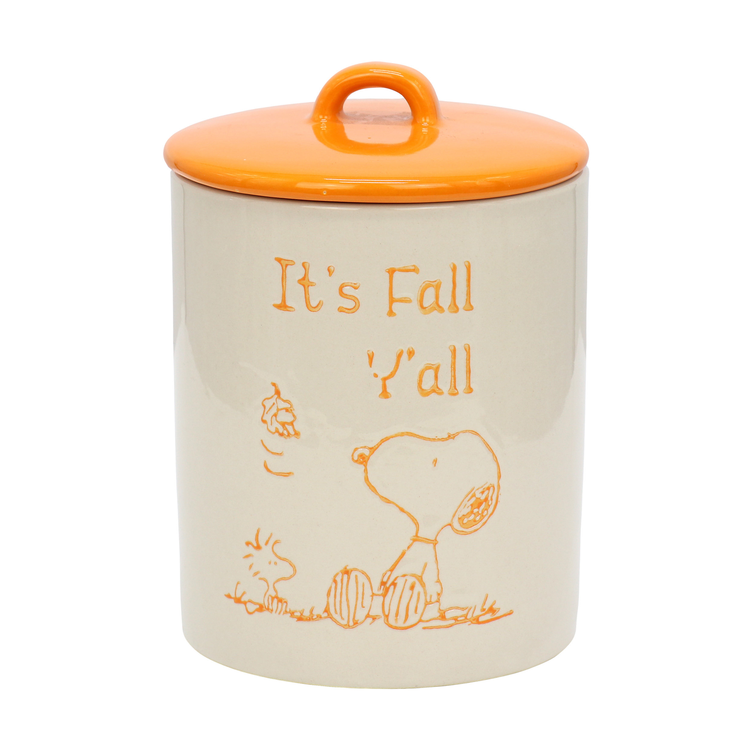 Peanuts Stoneware Jar | Wayfair
