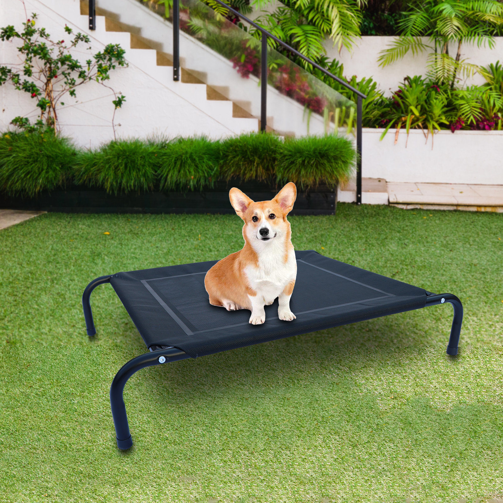 Tucker Murphy Pet™ Ameetha Elevated Pet Bed Breathable Mesh Cot ...