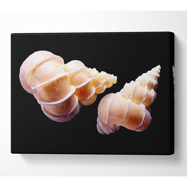 House of Hampton Beautiful Shell Duo - Wrapped Canvas Art Prints ...