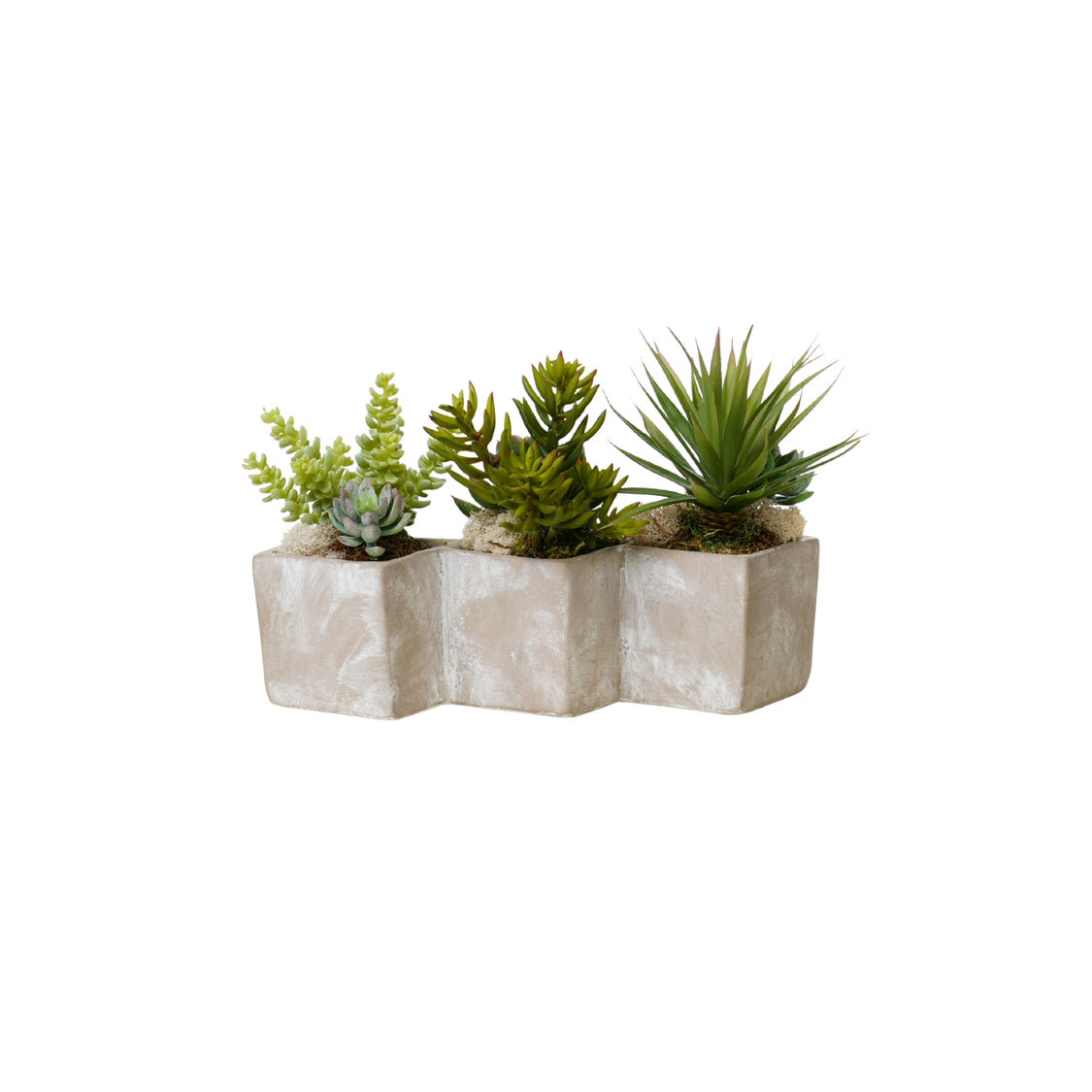 Jenny Silks Succulents Arrangement in Concrete Triple Pot | Perigold
