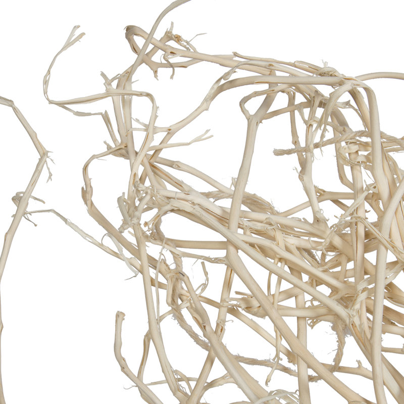 Primrue 5 Piece Preserved Foliage Branch | Wayfair