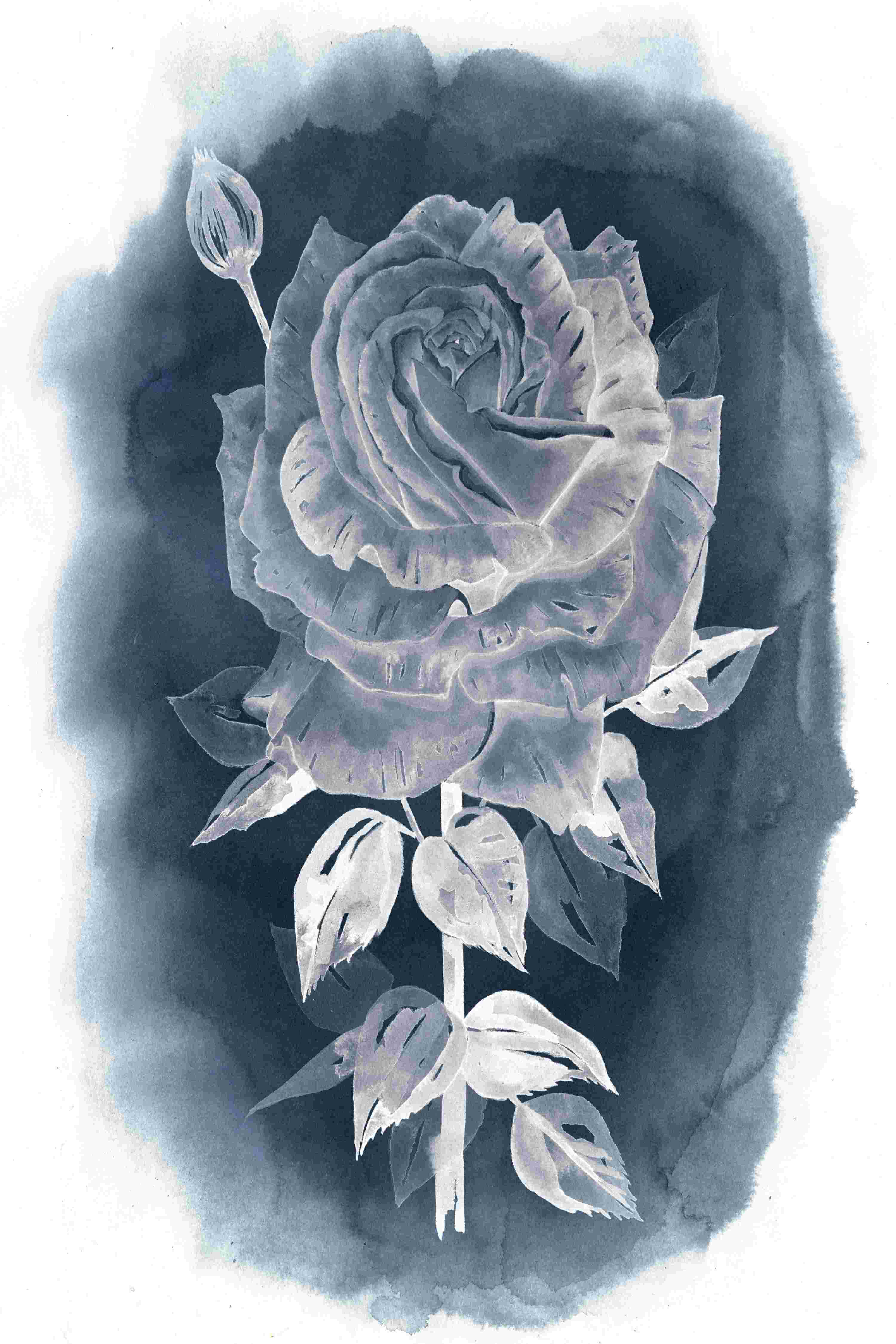 Rosdorf Park Ghost Rose IV | Wayfair