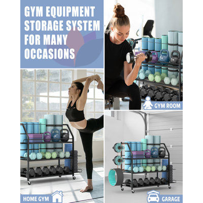 Arlmont & Co. Home Gym Storage Rack & Reviews | Wayfair