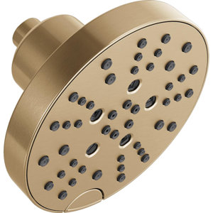 Delta Multi-Function Adjustable Shower Head & Reviews | Wayfair