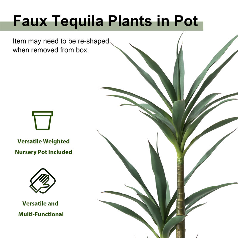 Primrue 51" Faux Tequila Plants in Pot Faux Tree & Reviews | Wayfair