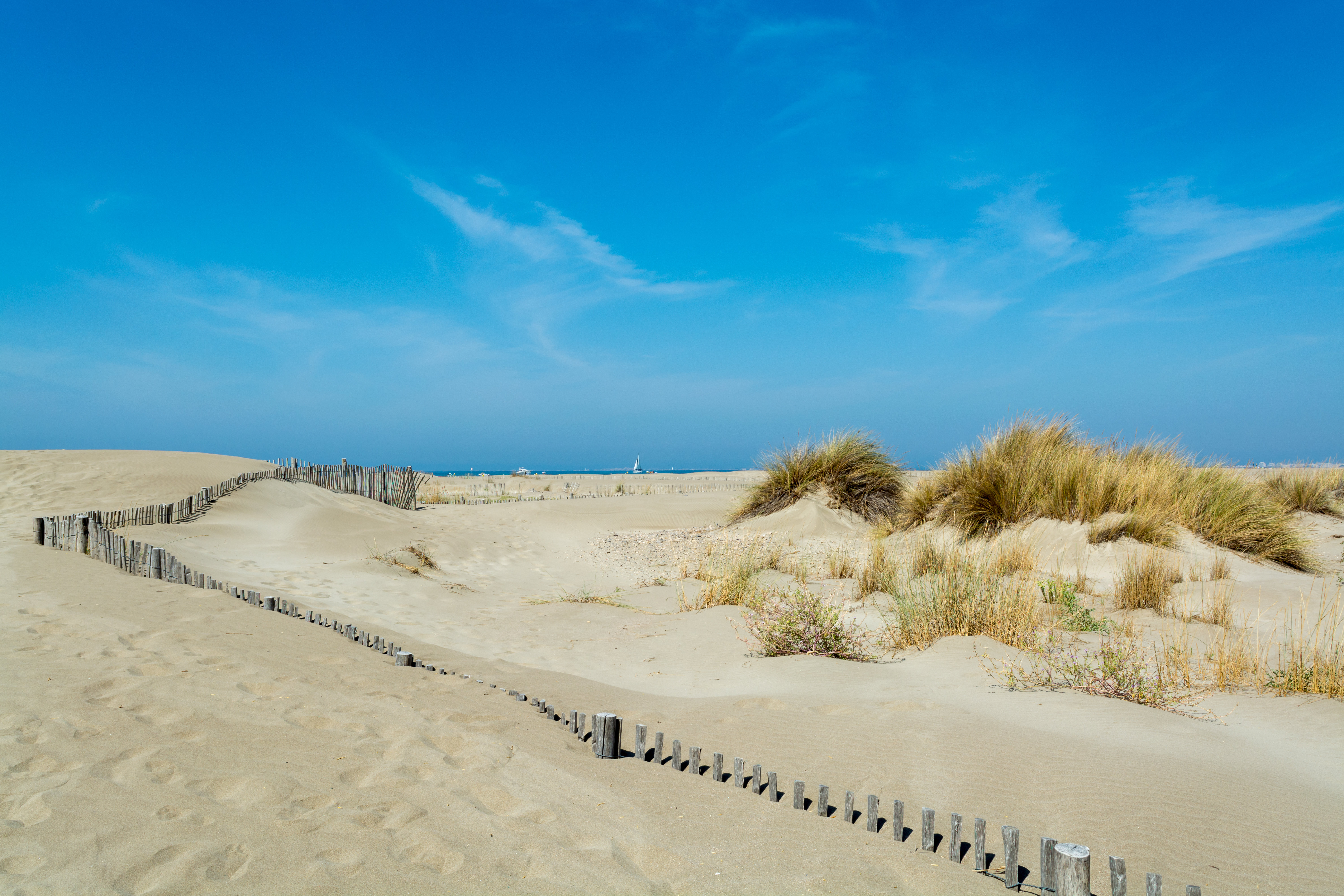 Highland Dunes Nice White Sand Beach - Wrapped Canvas Photograph | Wayfair