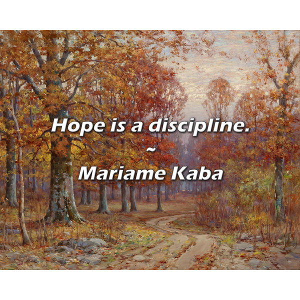 Trinx Mariame Kaba Quote: Hope is a discipline. | Wayfair