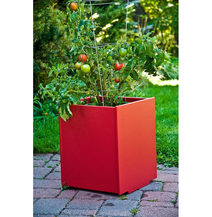 Loll Designs Mondo Single Storage Box | Perigold