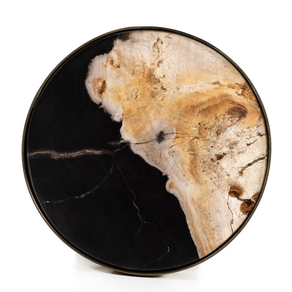 Four Hands Bevin End Table - Dark Petrified Wood & Reviews | Perigold