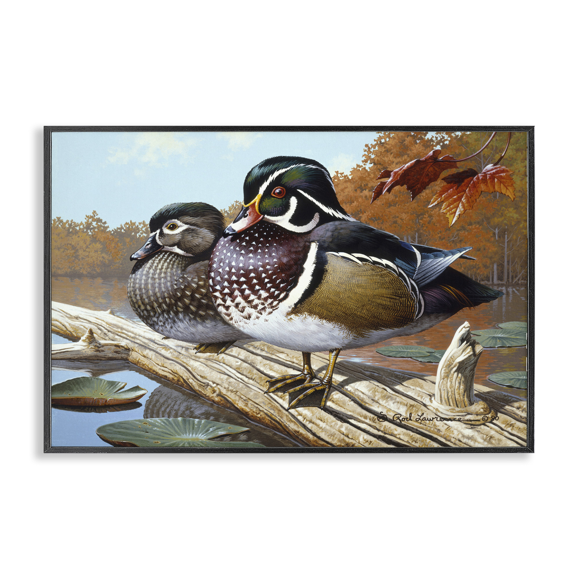Highland Dunes Duck Pair on Driftwood Giclee Art by Rod Lawrence | Wayfair