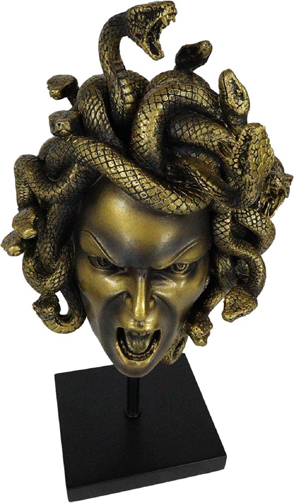 Bungalow Rose Matteen Greek Mythology Gorgon Sisters Severed Head of ...