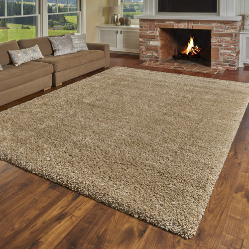 Thick Pile Area Rugs You'll Love | Wayfair
